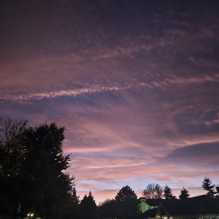 Electrical Gecko Guitar Demos | Mary Magenta | Gecko Afterlife