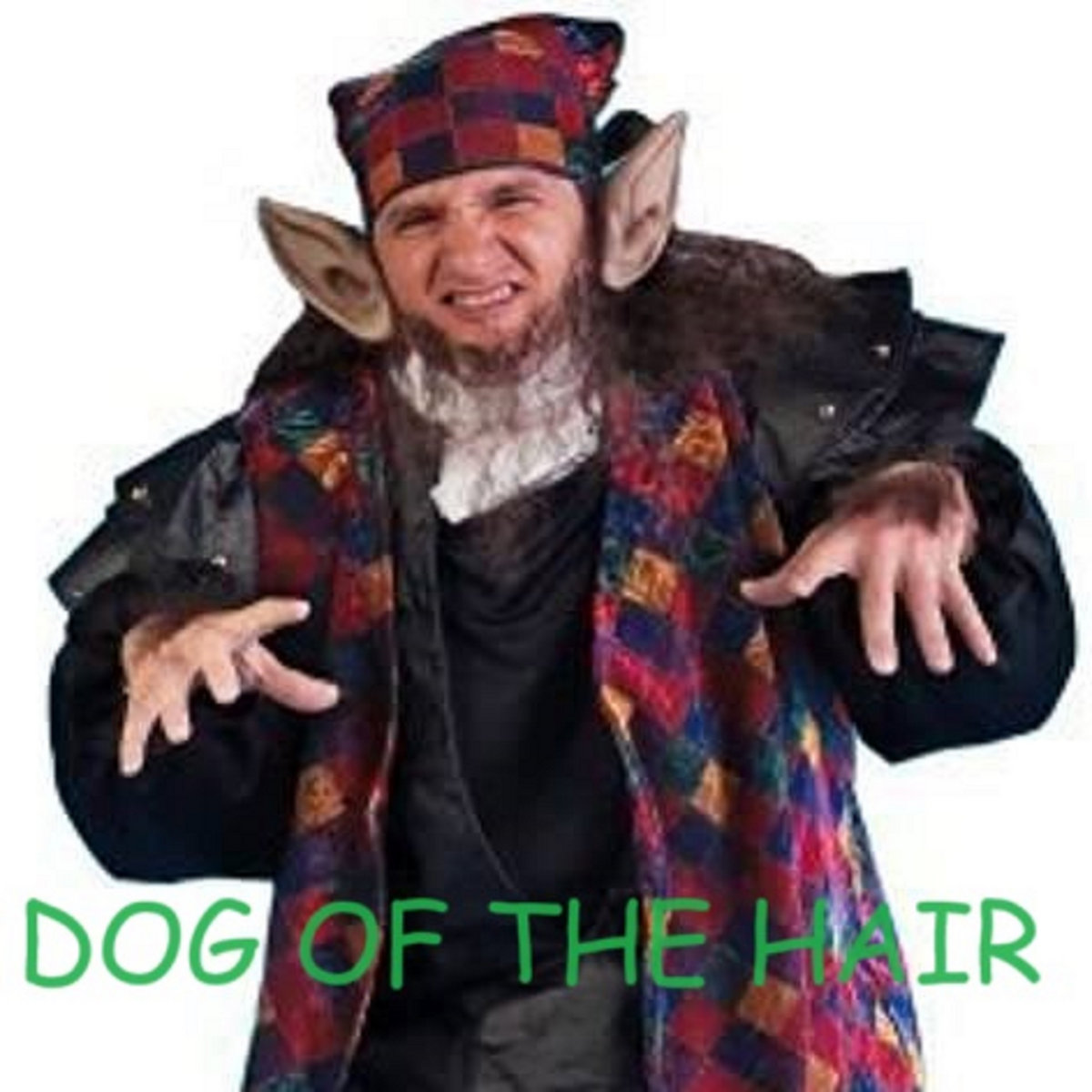 Dog Of The Hair - Dog Of The Hair | Wheelchair Full of Old Men
