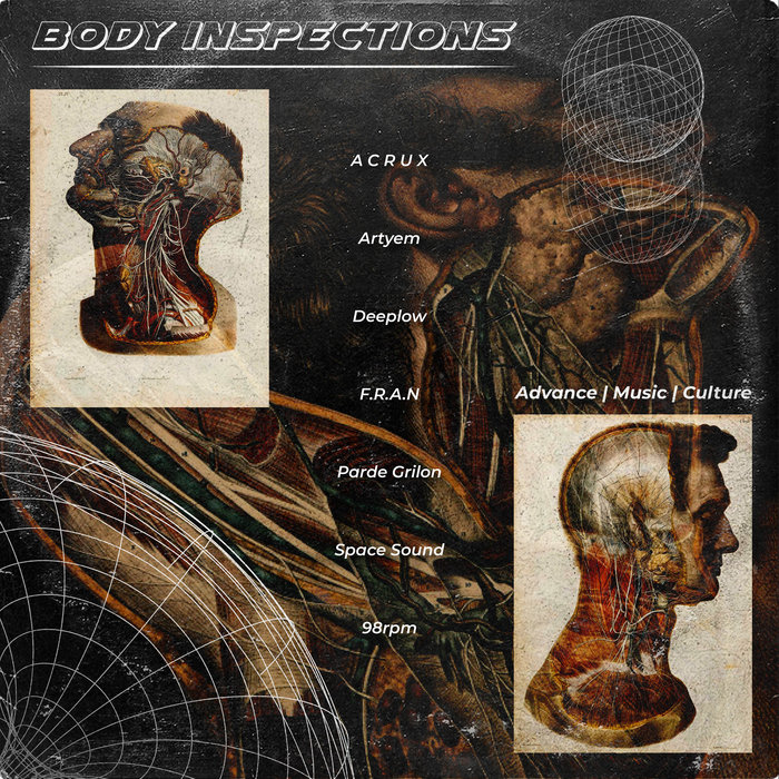 Body Inspections - V/A [MD-001] | Various Artist | Modular Division