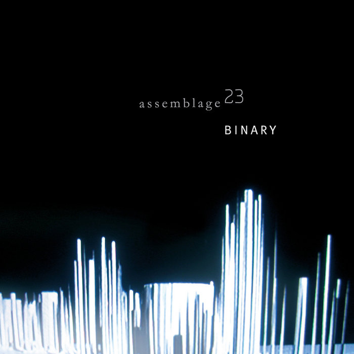 Binary | Assemblage 23