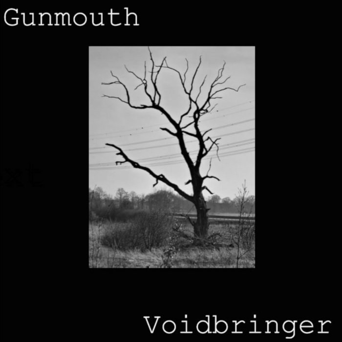 Voidbringer | Gunmouth