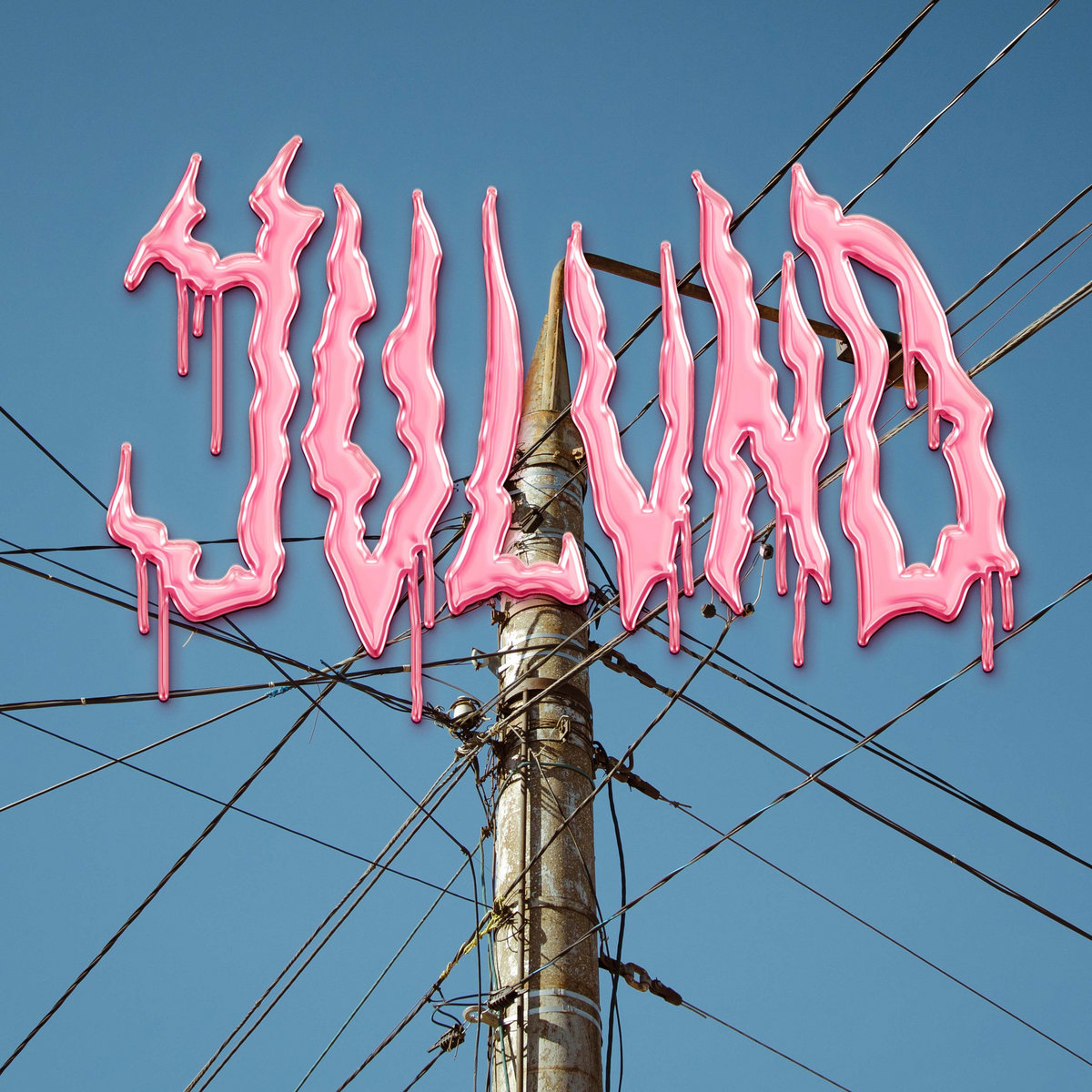 vertebra | Javalavanda | Kotel
