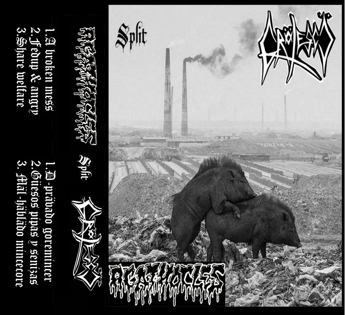 AGATHOCLES / GROTESCO SPLIT | GRINDER CIRUJANO RECORDS