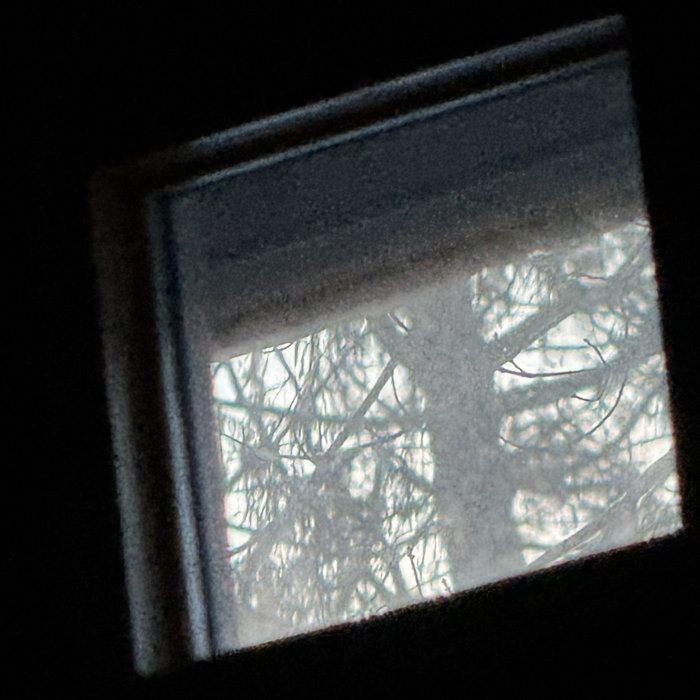 husband/bedroom closet | ant has antennae