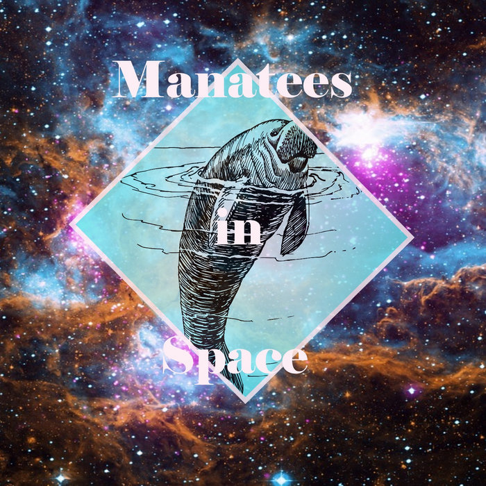 Manatees in Space | ShortneysLife