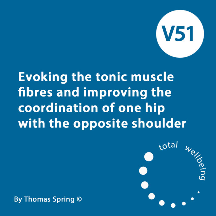Evoking the tonic muscle fibres and improving the coordination of one ...