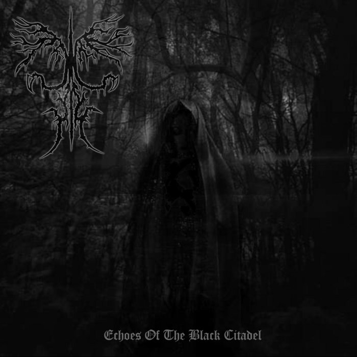 Echoes Of The Black Citadel | Ancient Boreal Forest