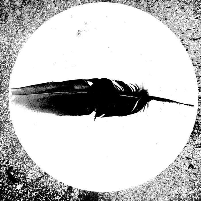 Panacea and whale song | Małgorzata Viola Krasowska