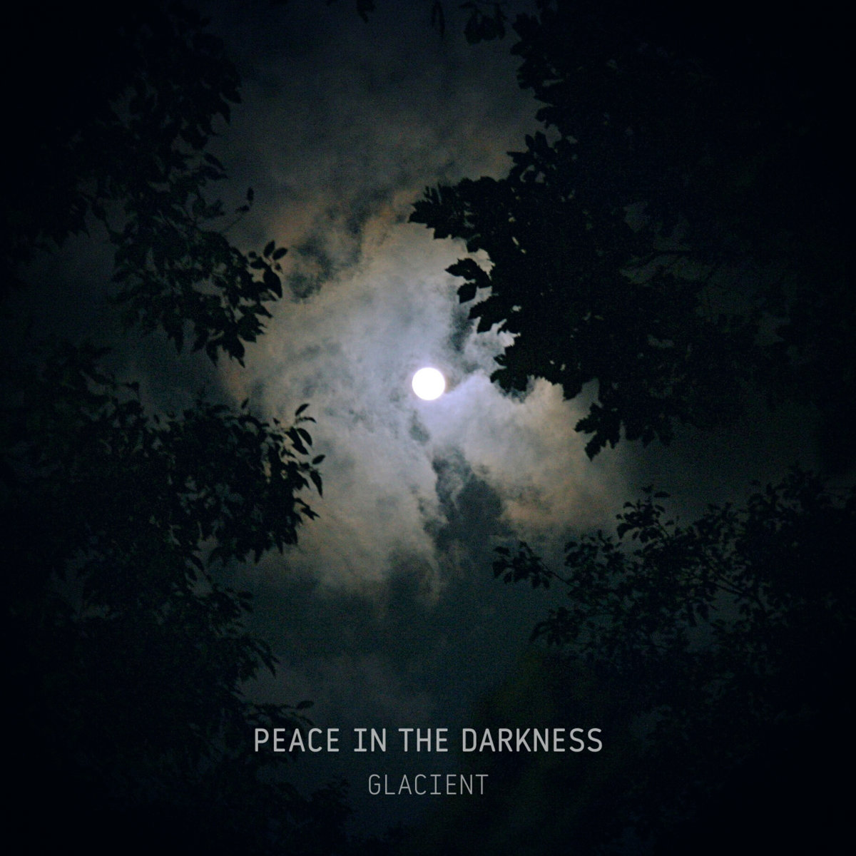 Peace in the Darkness | Glacient
