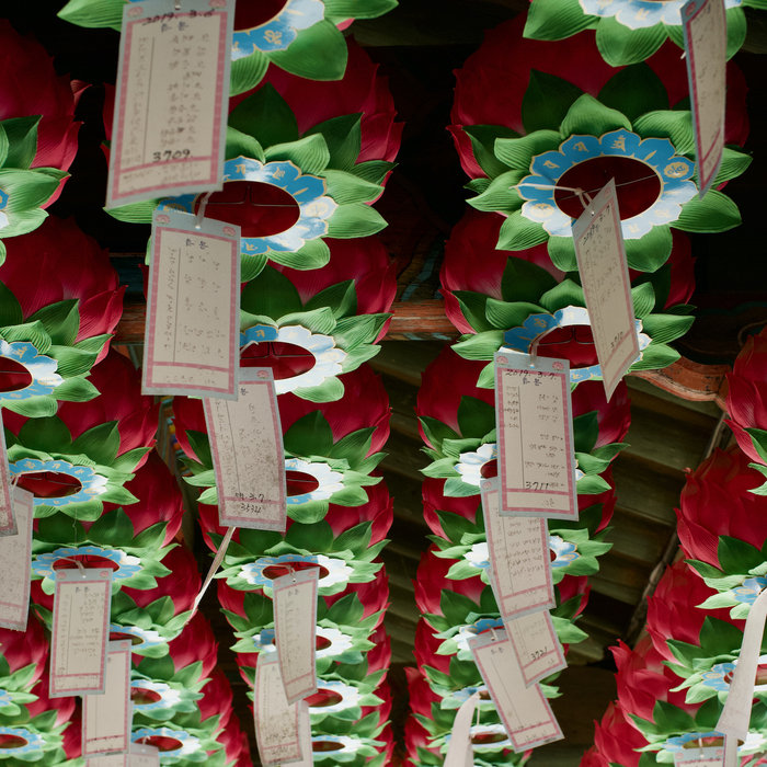 Isophase | Trigona | We, Here and Now!