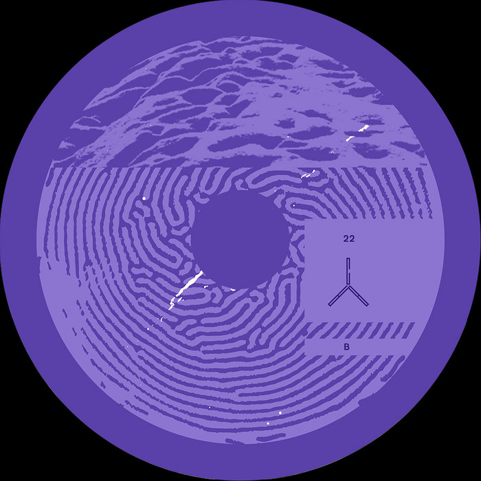 Collective Amnesia | Tensal | CABRERA