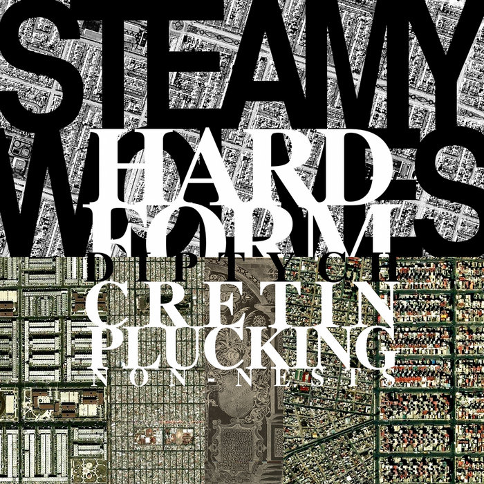 Hard Form Diptych | Steamy Wolves