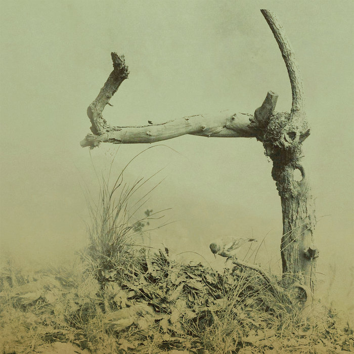 Fragmented Lives | Zenjungle