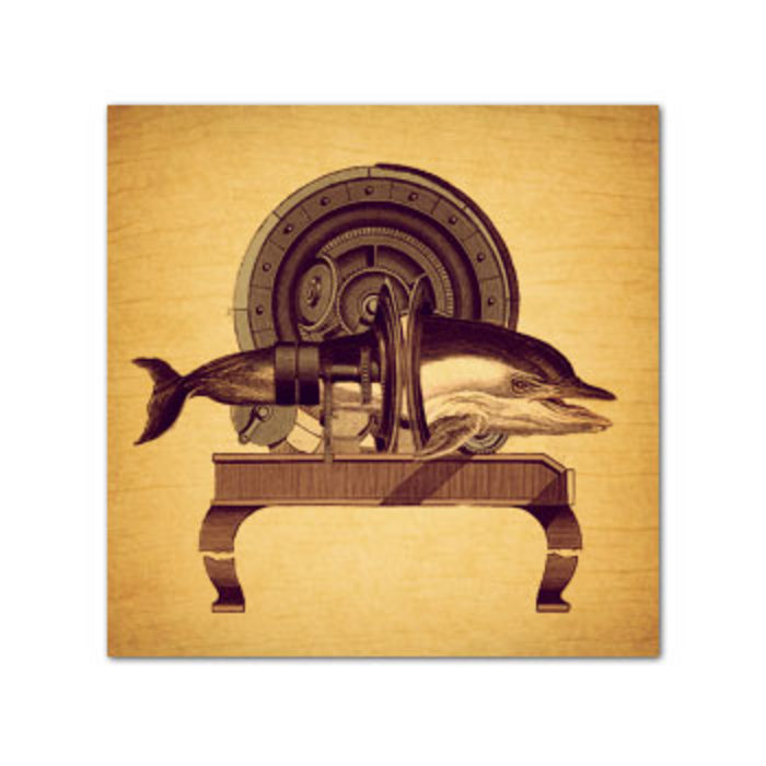 Coral Coma | —Antilux | BOYA Entertainment