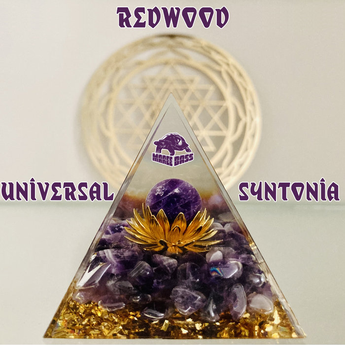 Universal Syntonia | Redwood