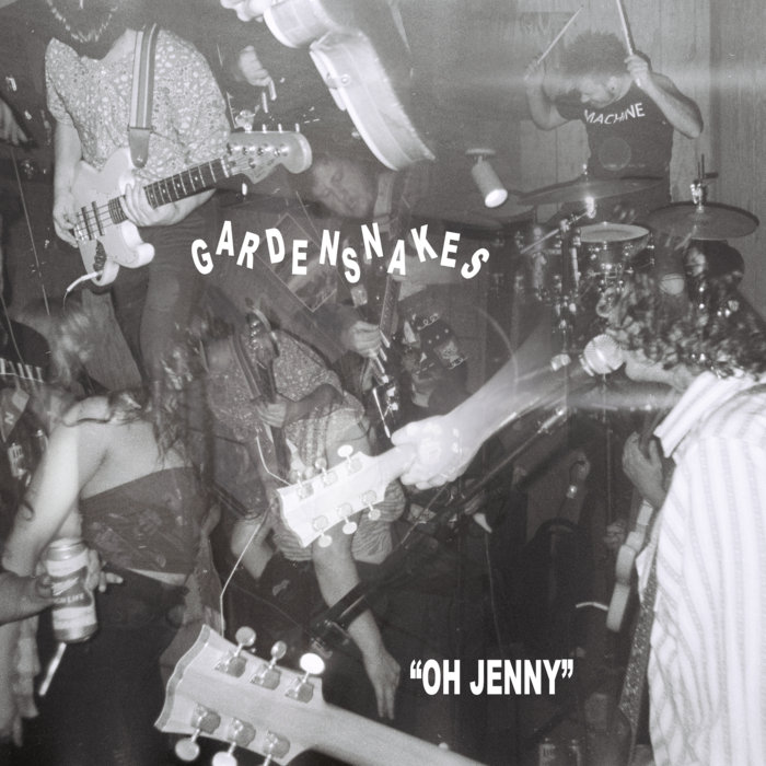 Oh Jenny | gardensnakes