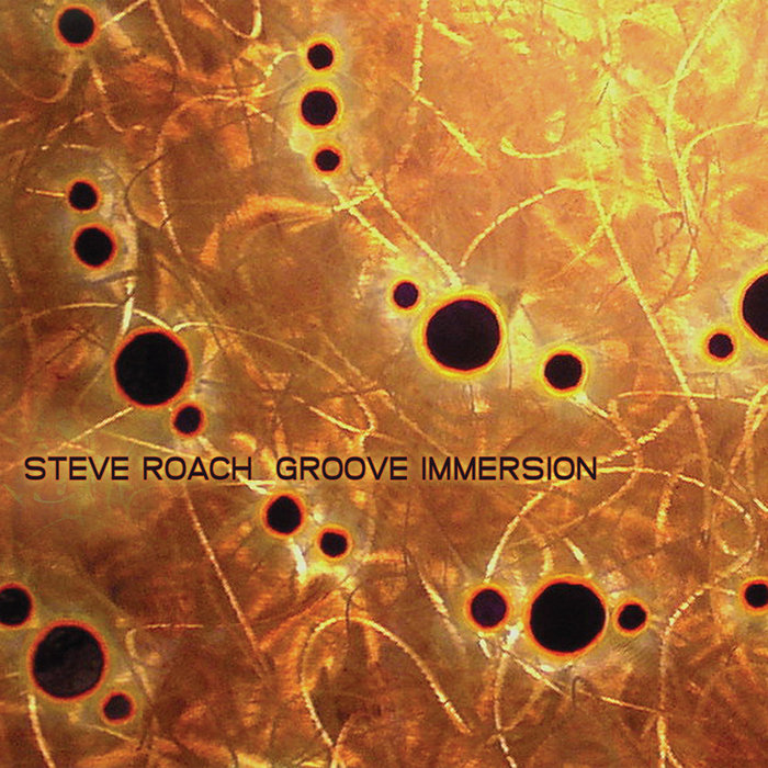 Groove Immersion | Steve Roach