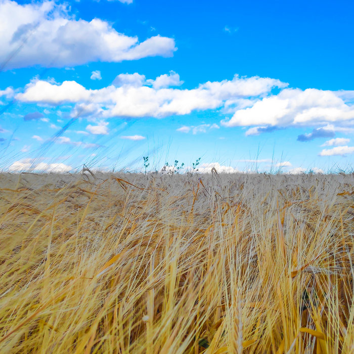 Untitled (for Europe) | Juha-Matti Rautiainen Soundscapes