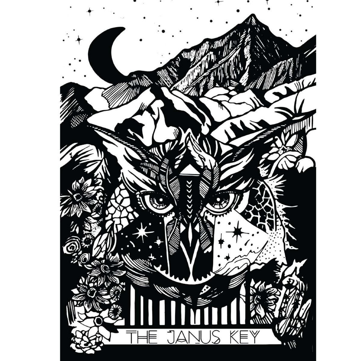 Black Cat Deja Vu | The Janus Key