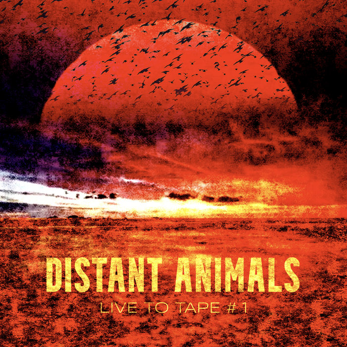 Live to tape #1 | Distant Animals | Difficult Art And Music