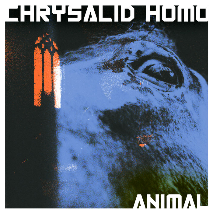 ANIMAL | Chrysalid Homo