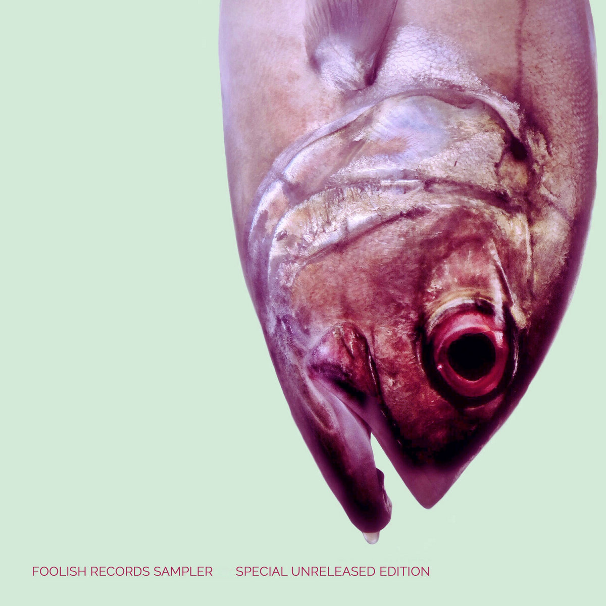 OH I WISH I WAS A PUNK ROCKER WITH FLOWERS IN MY HAIR | EISENLAGER feat ...