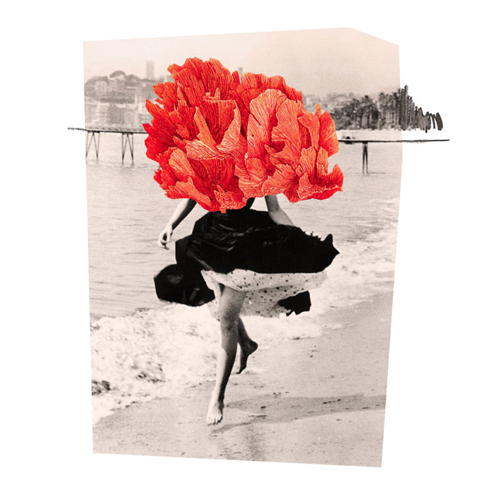 Nautilus | Maria Chiara Argirò