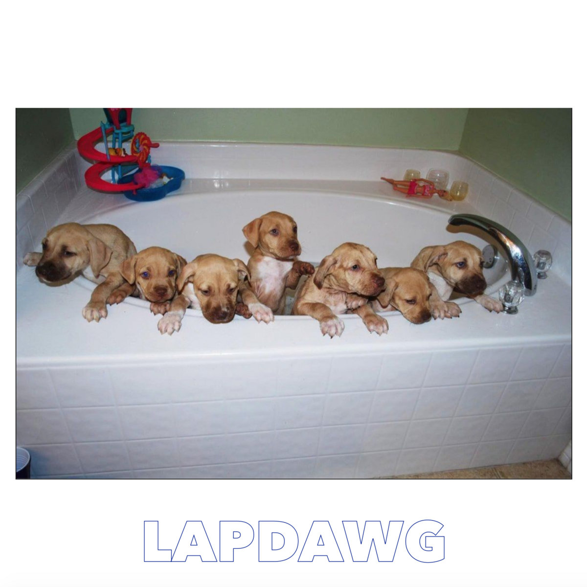 Lapdawg | The A.V. Club