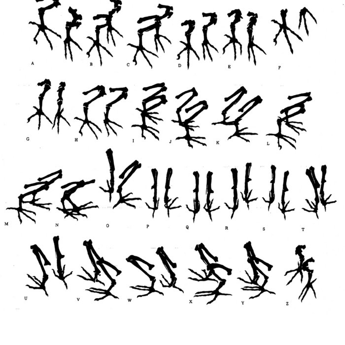 Bone Alphabet - Brian Ferneyhough | brian archinal