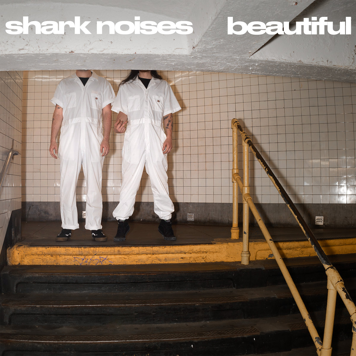 Beautiful | Shark Noises