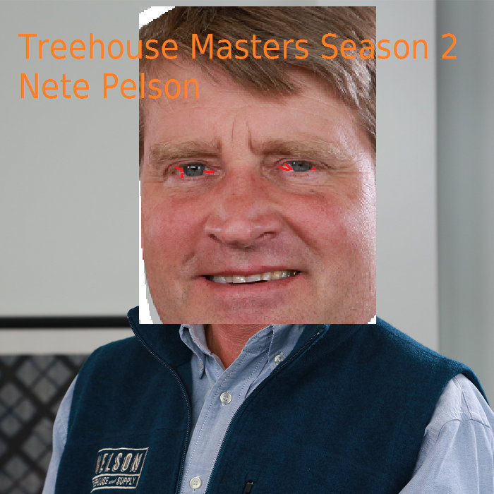 My Treehouse Bridges Across State Borders To the Treetopia That Hides ...