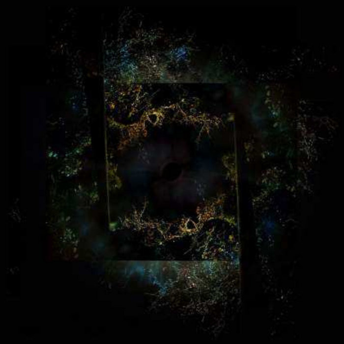 Morrigan | Emily Logan | Wet Whitman