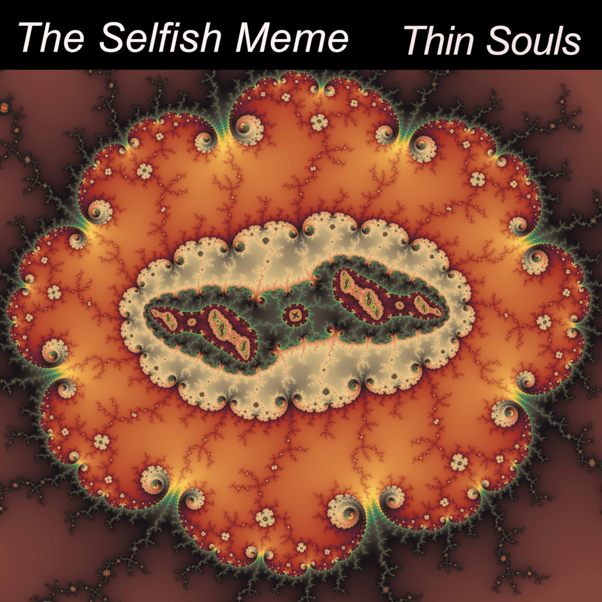 The Selfish Meme | Thin Souls