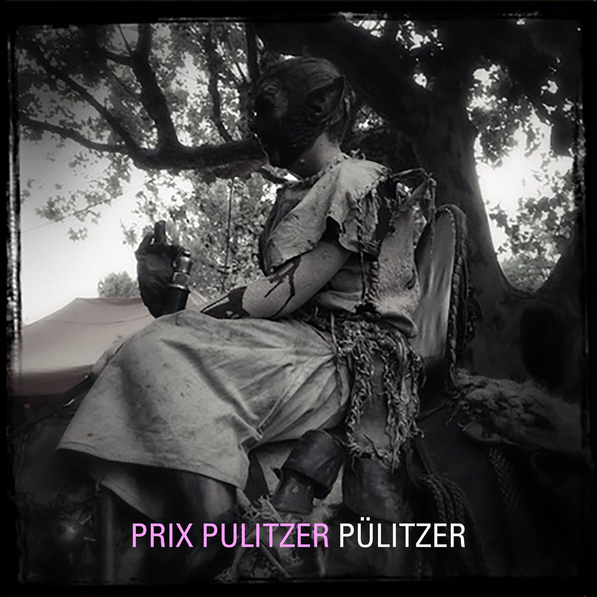 Prix Pulitzer | Pülitzer