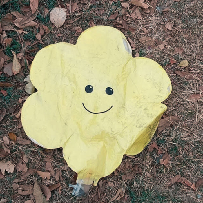 memory diary | Vacíos Dentro