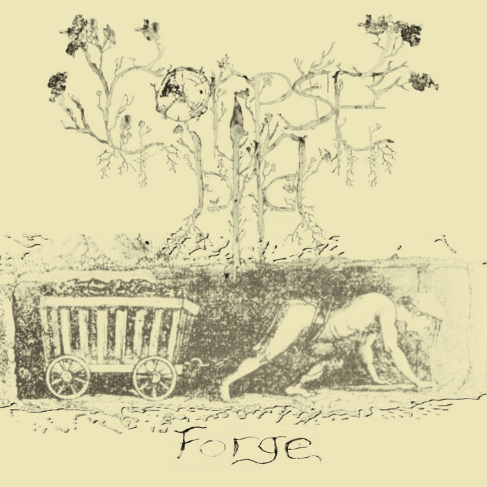 Forge | Corpse Bird