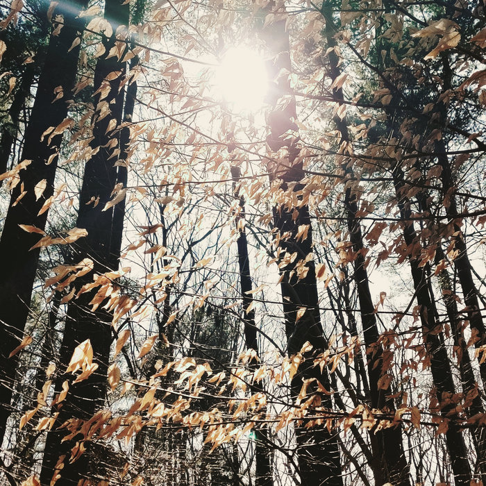 MODIM - We Give Thanks | Rebekka Goldsmith