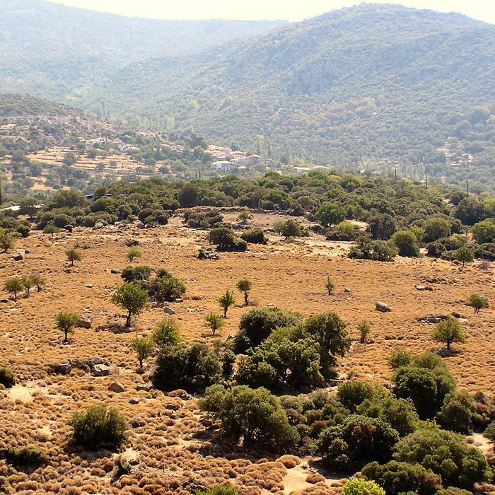 Amazing Grazing 3 | Sounds to Continue