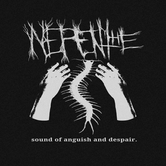 Sound of Anguish and Despair | Nepenthe