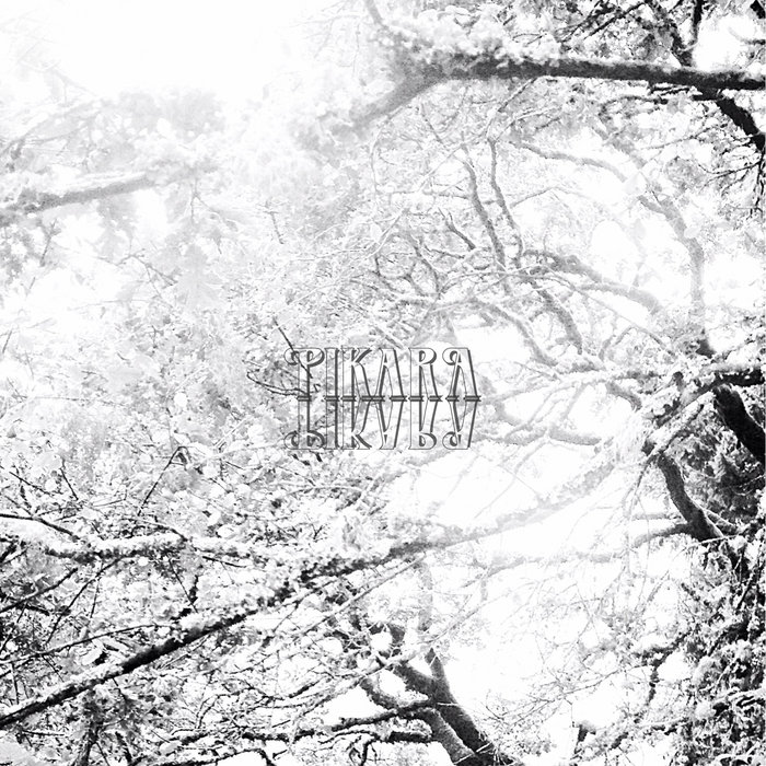 This Hollow | Pikara