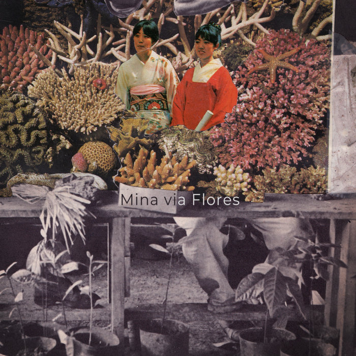 Las neas y los perros | Mina via Flores