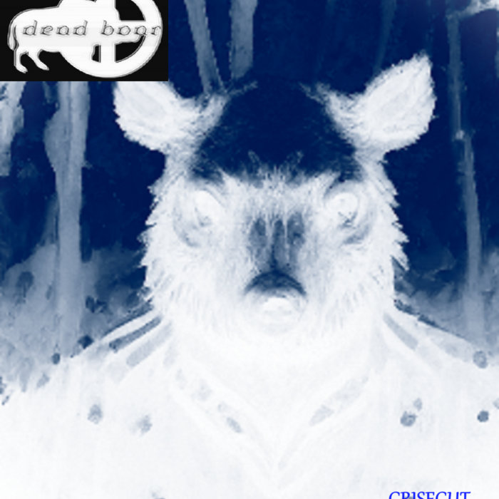 IN MEMORIAM | DEAD BOAR