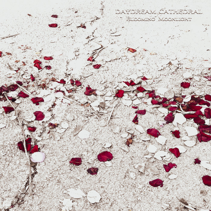 Blooming Moonlight | Daydream Cathedral