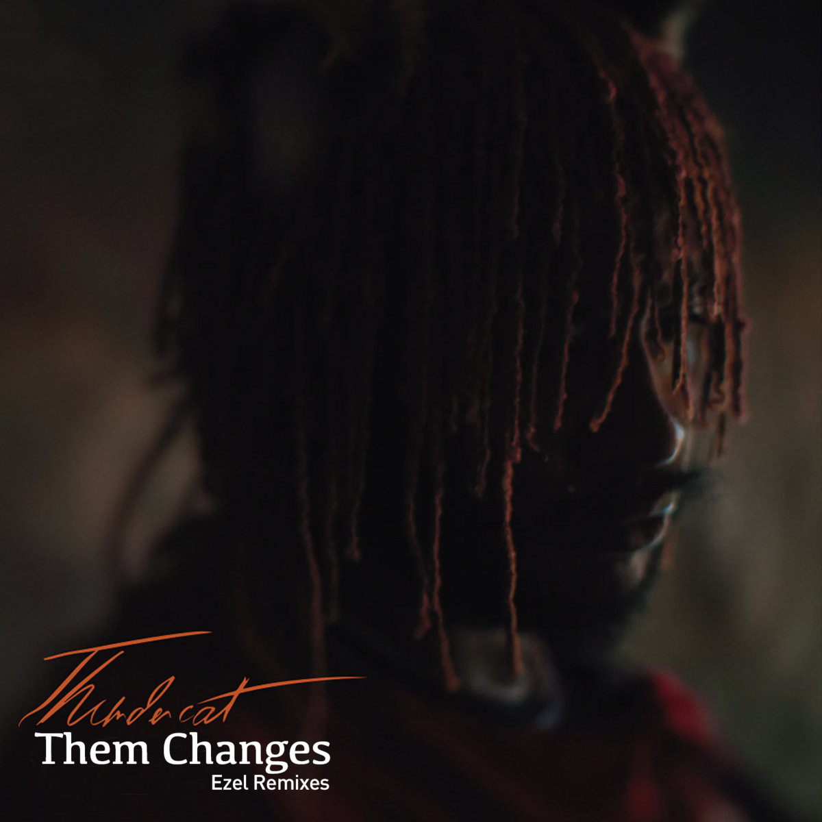 Them Changes (Ezel Remixes) | Ezel