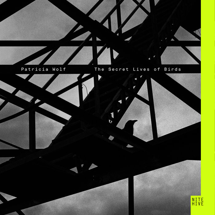 The Secret Lives Of Birds | Patricia Wolf