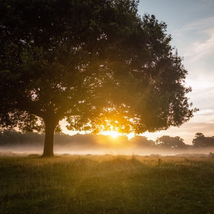 Samhradh, Samhradh (trad.) | Martha Gallagher