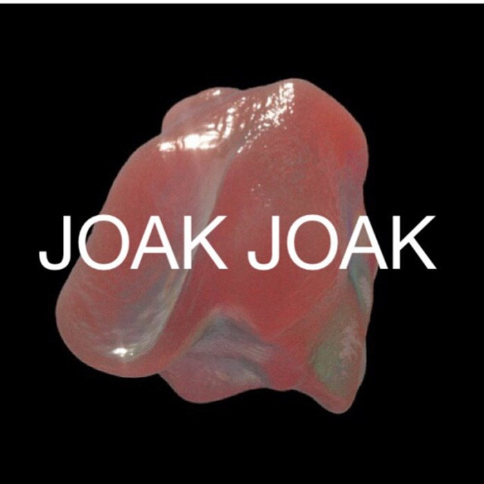 Porno Diplomacy | Joak Joak