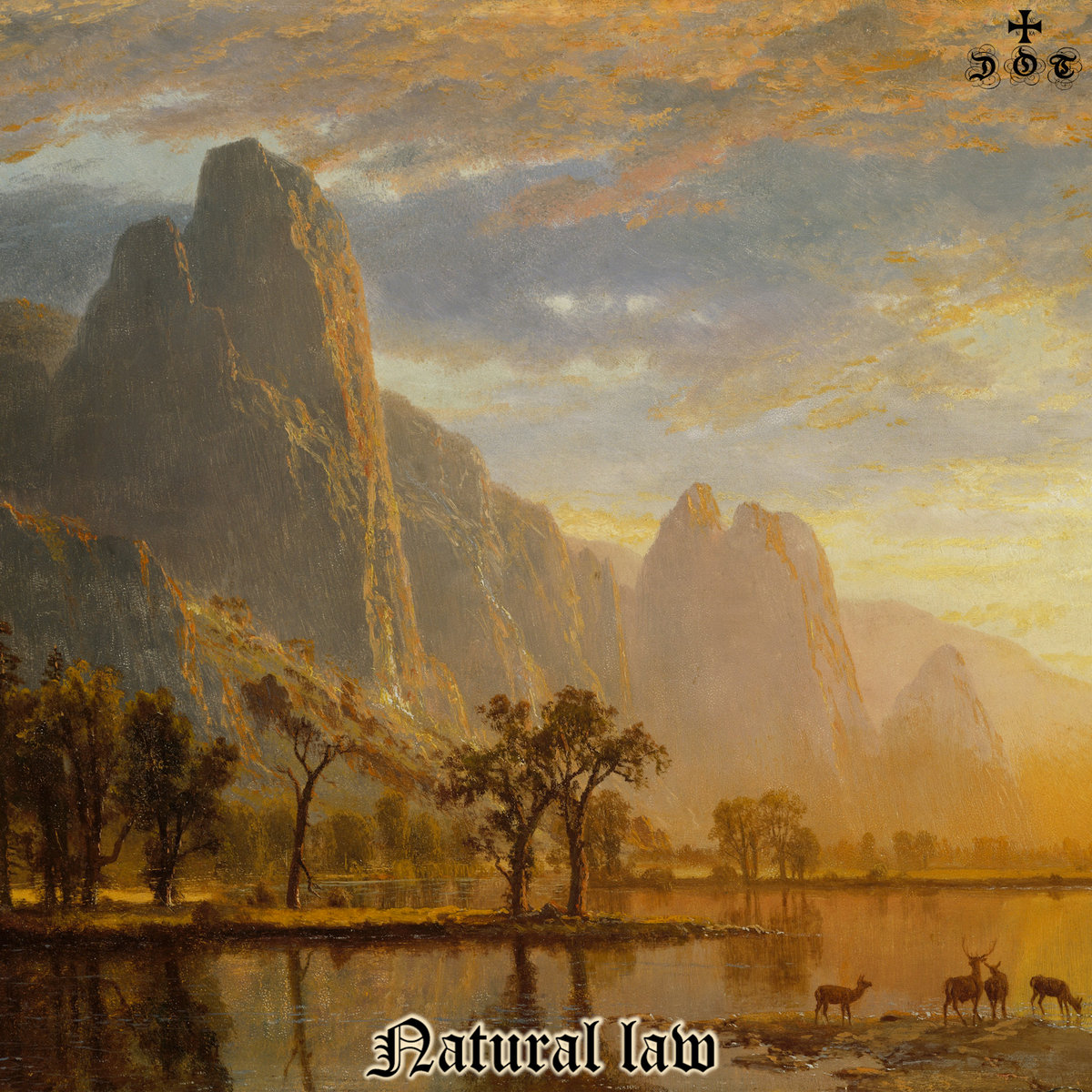 Natural law | DOT Dominus