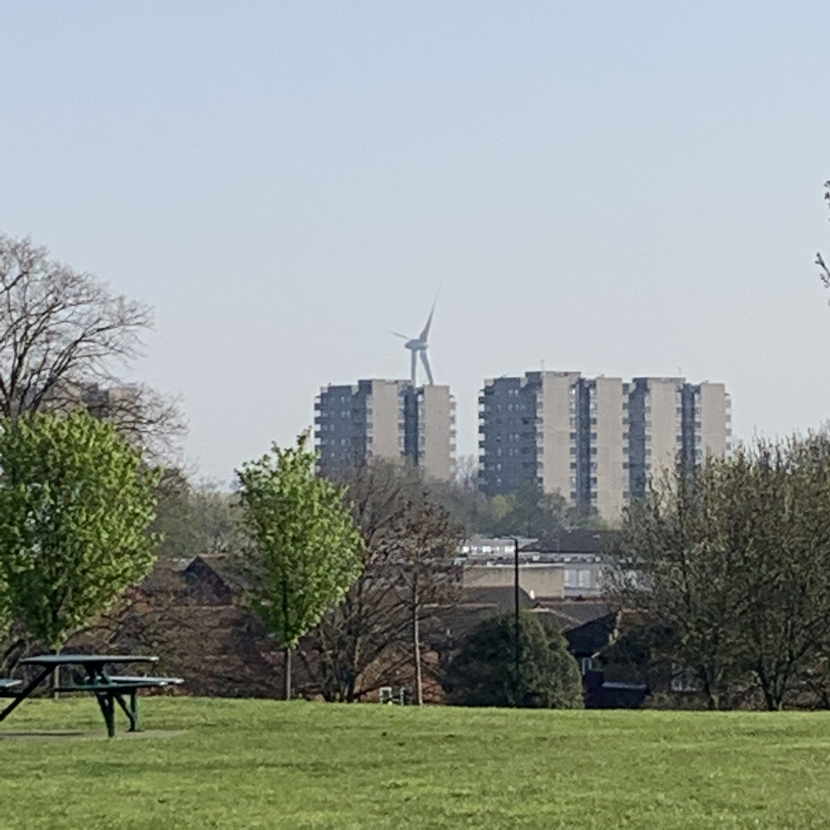 Marginalia 12 | Peter Nagle