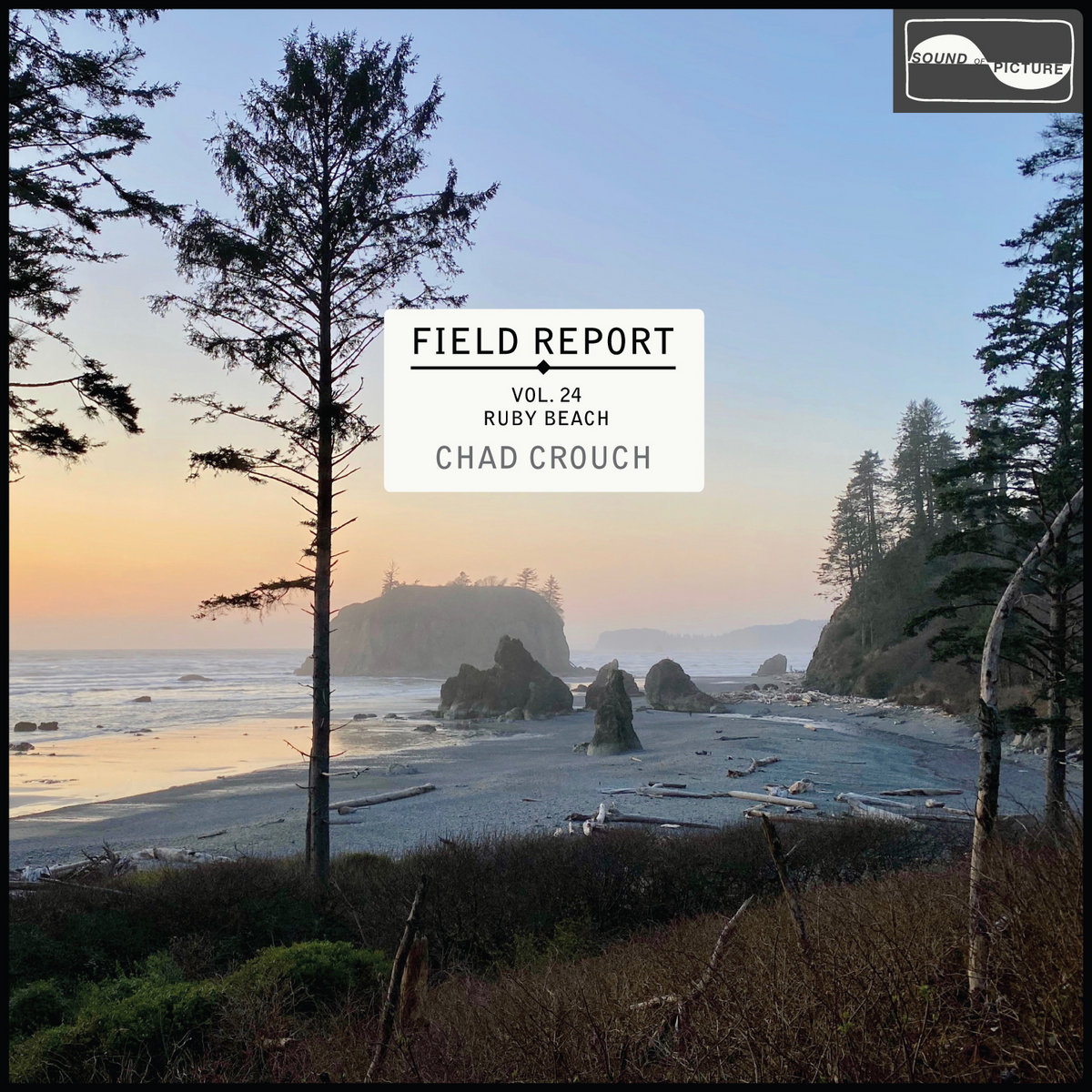 Field Report Vol. 24: Ruby Beach | Chad Crouch